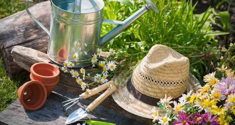 What Tools and Resources Can Help You in Planning Your Garden? - Ecomuch