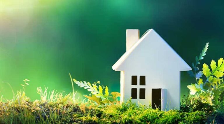 How to Choose Environmentally Friendly Materials for Your Home - Ecomuch